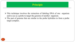 Genomic In-Situ Hybridization (GISH)-Principles, Methods and ...