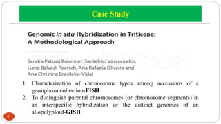 Genomic In-Situ Hybridization (GISH)-Principles, Methods and Applications in Crop Plants.pptx