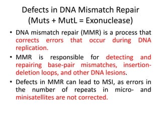 Genomic instability and cancer.pptx