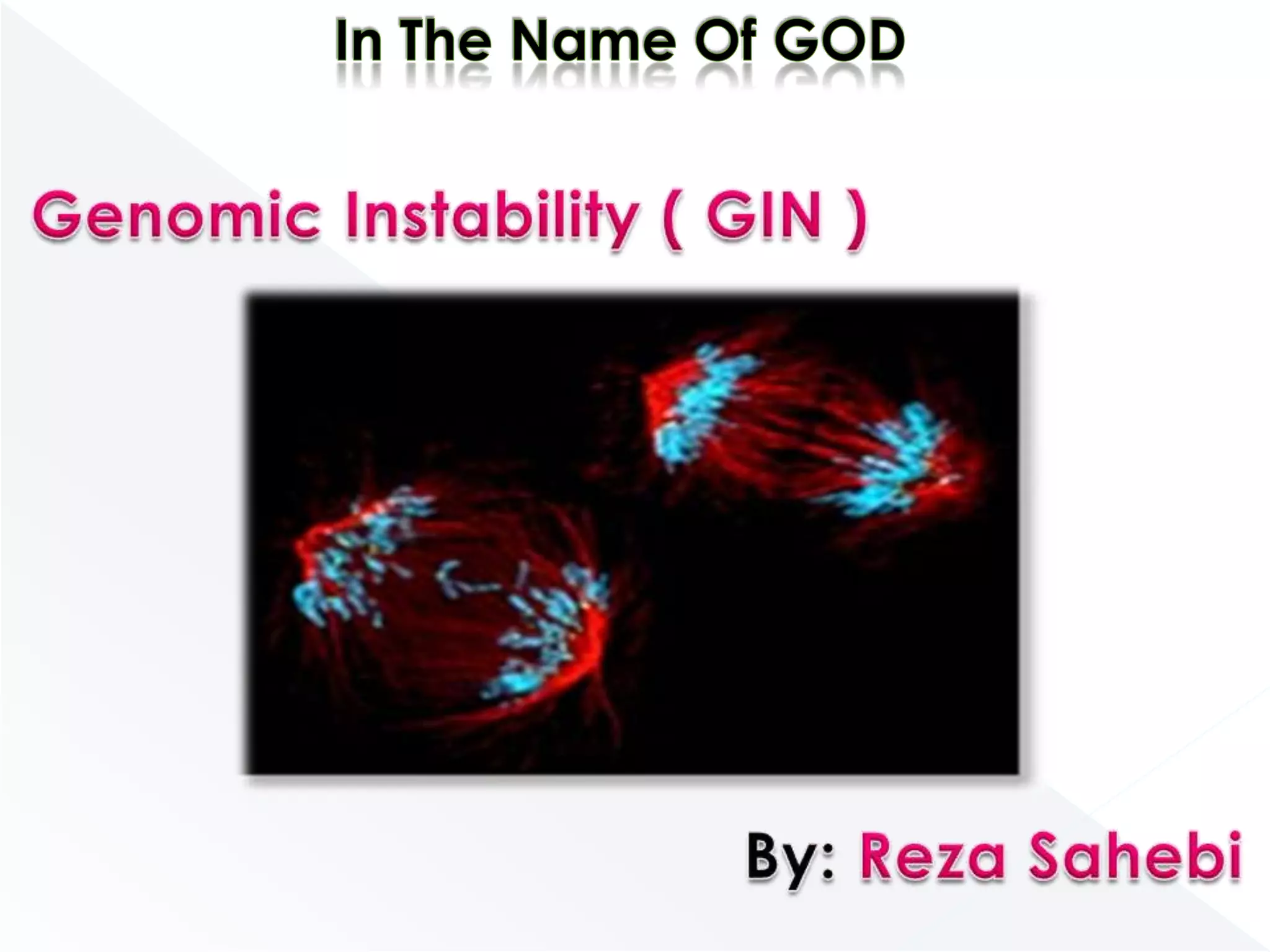 Genomic instability | PPSX