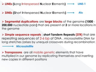 Genomic instability | PPSX