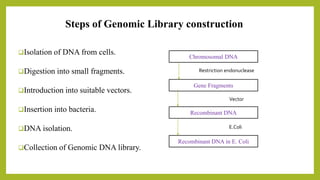 Genomic library | PPTX