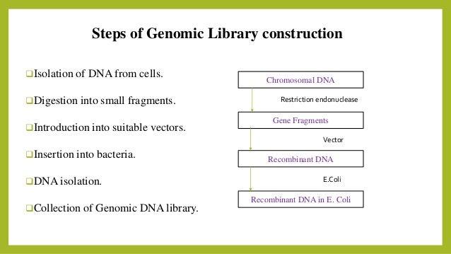 Genomic library
