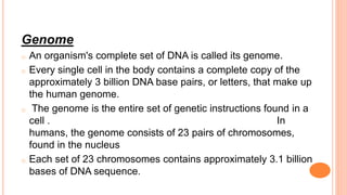 genomic library.pptx