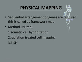 Genomic mapping, genetic mapping | PPTX