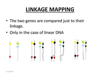 Genomic mapping, concept by kk sahu | PPT
