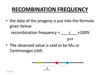 Genomic mapping, concept by kk sahu | PPT