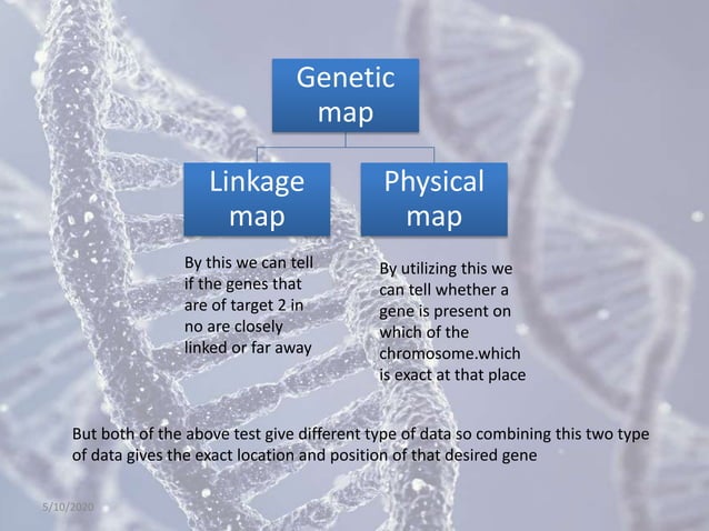 Genomic mapping, concept by kk sahu | PPT