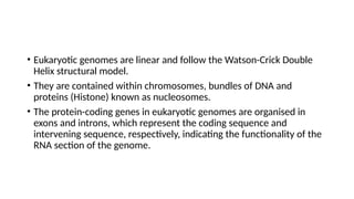 Genomic organization in Bioinformatics.pptx