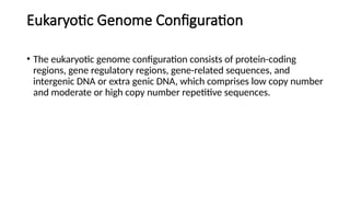 Genomic organization in Bioinformatics.pptx