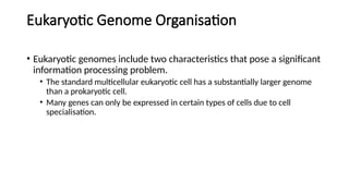 Genomic organization in Bioinformatics.pptx