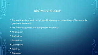 Genomic organization of DNA viruses.pdf