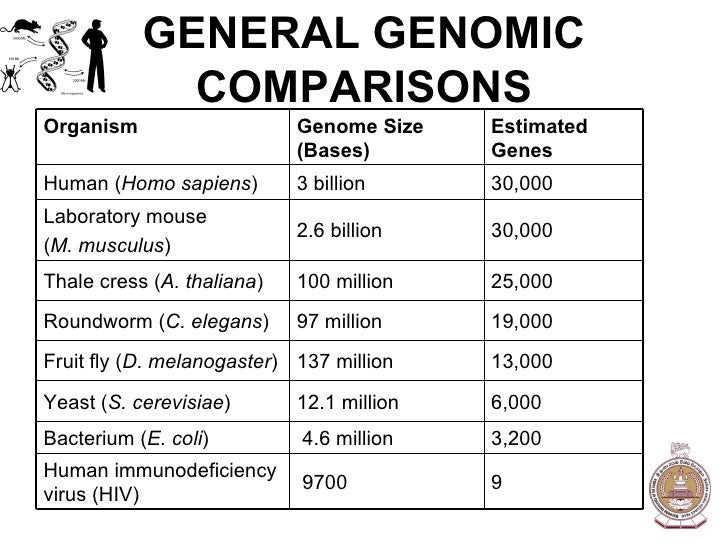 Genomics
