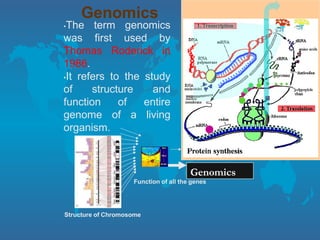 genomics-180323095216.pptx