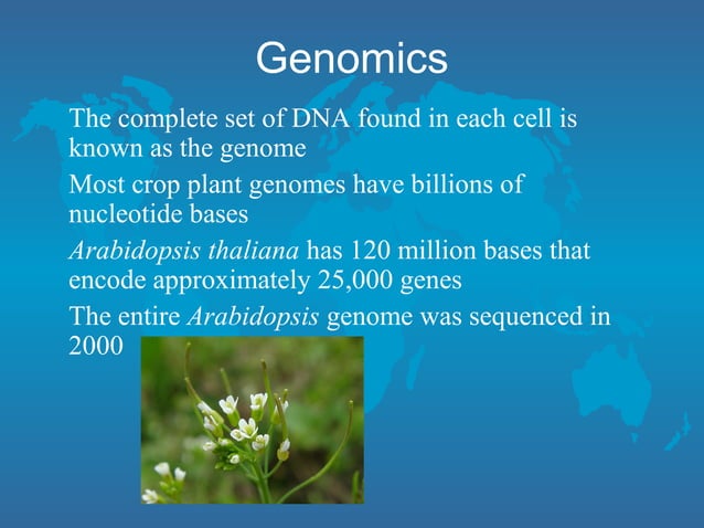 Genomics and Plant Genomics | PPT