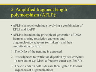 Markers: Based on hybridization and PCR | PPTX