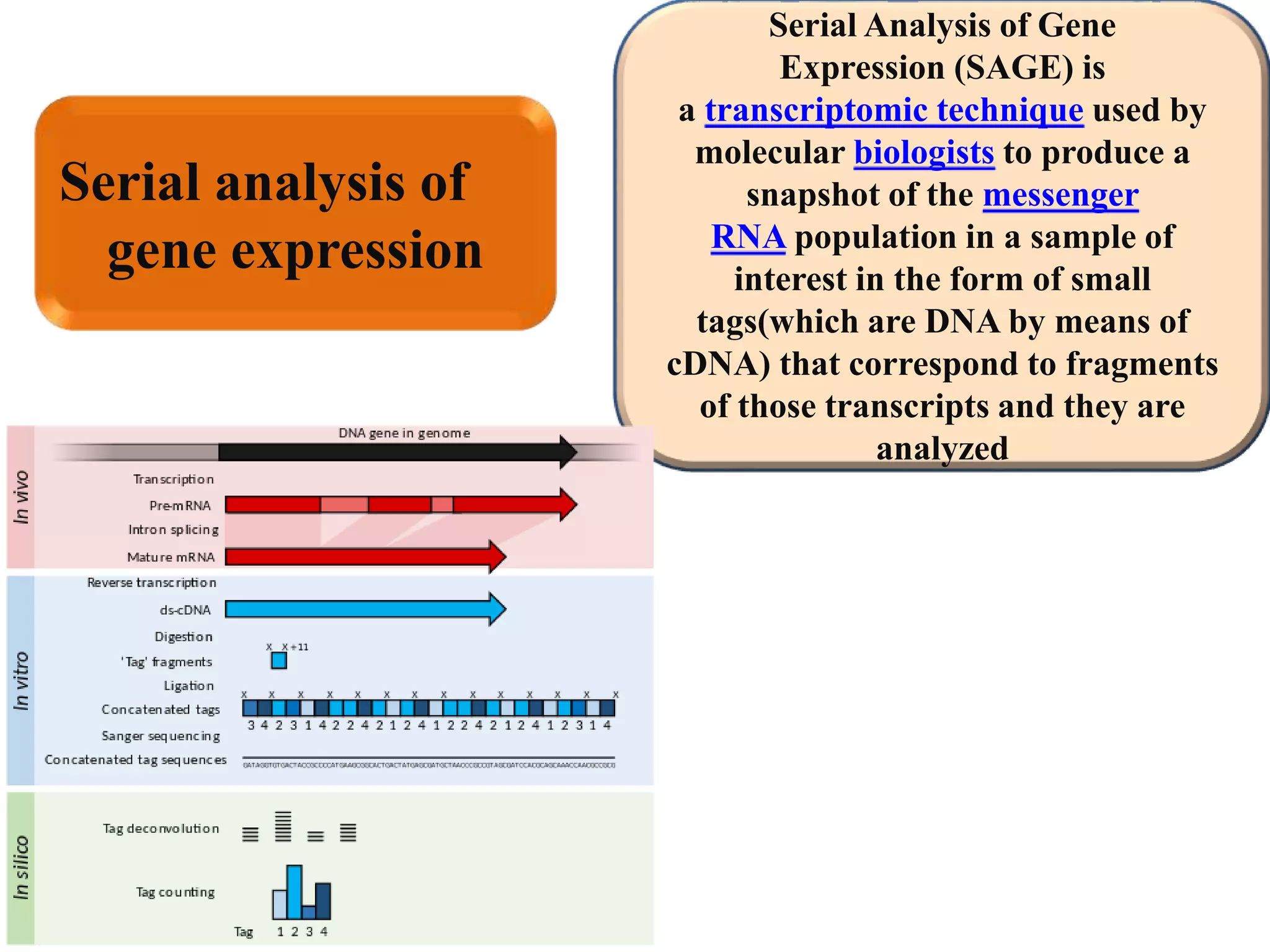Genomics(functional genomics) | PPTX