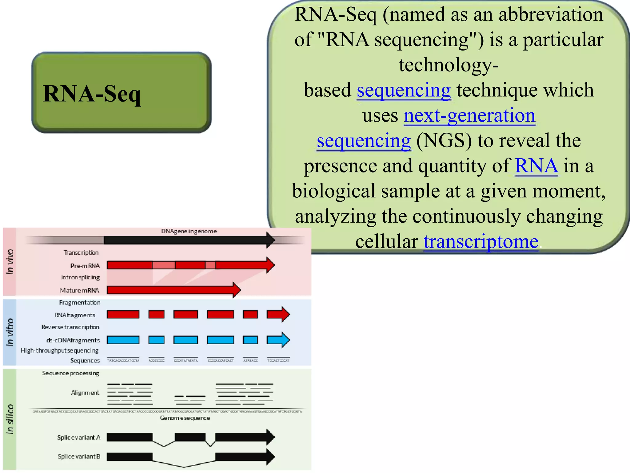 Genomics Functional Genomics Pptx