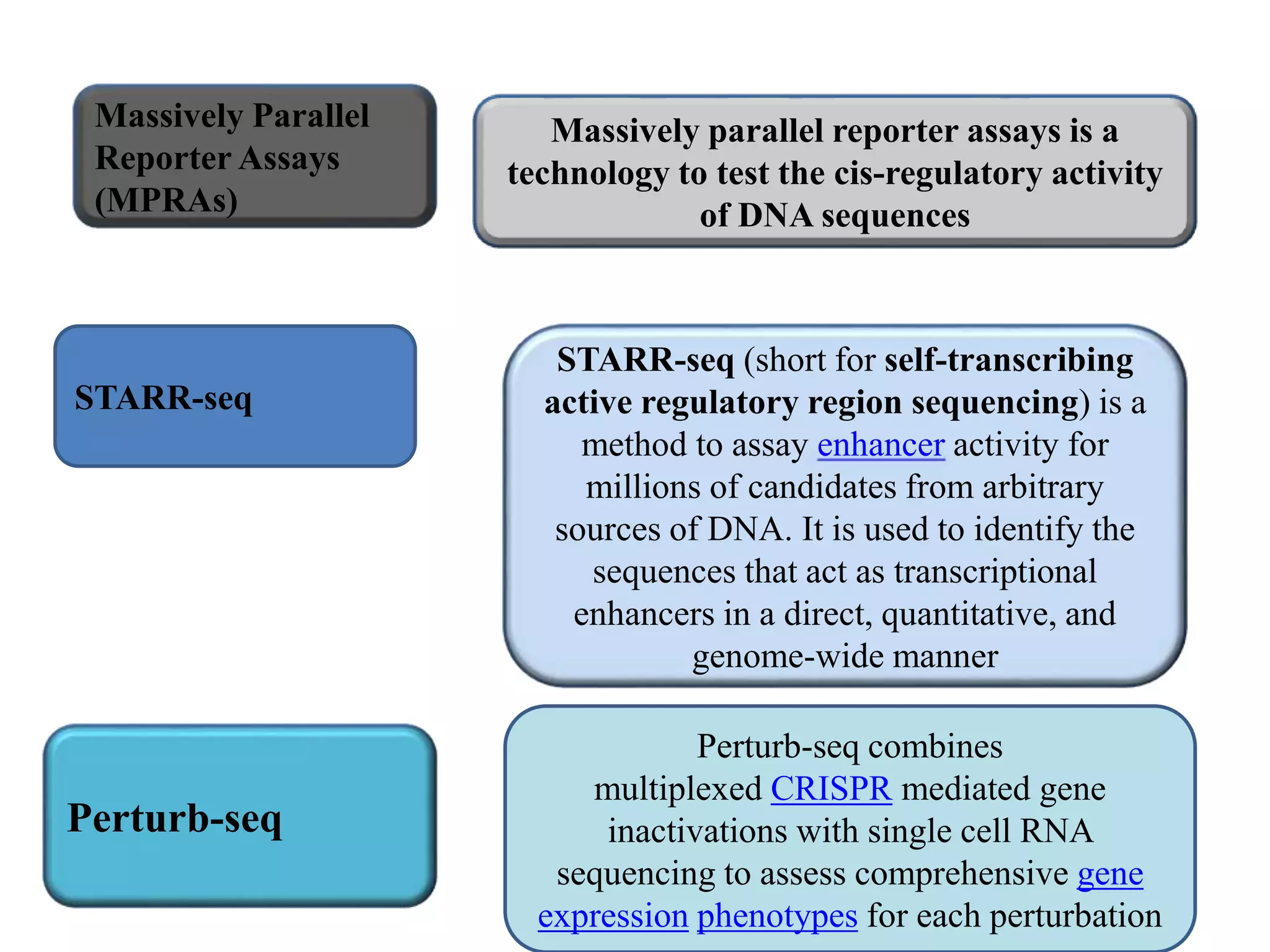 Genomics(functional genomics) | PPTX