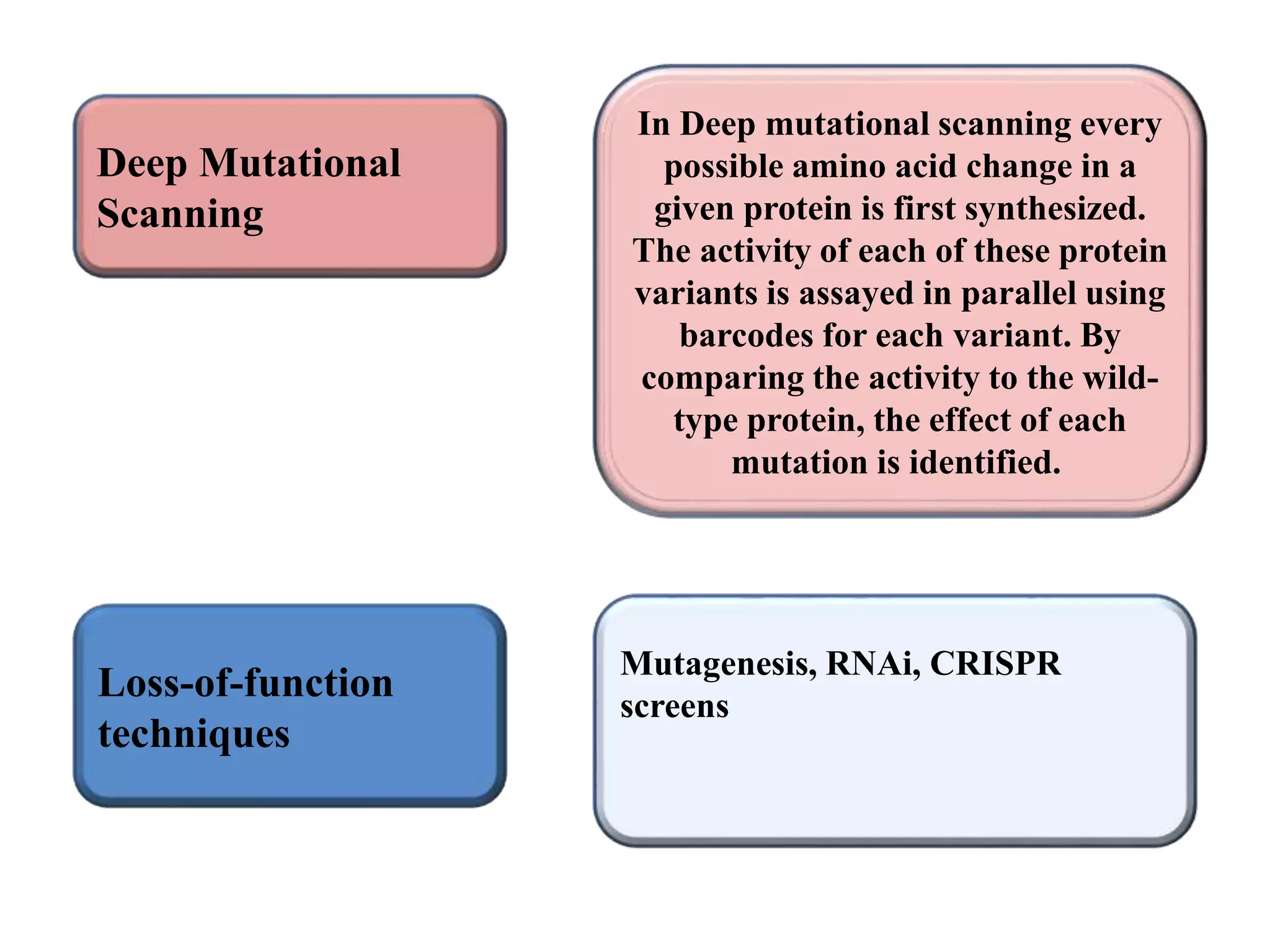 Genomics(functional genomics) | PPTX