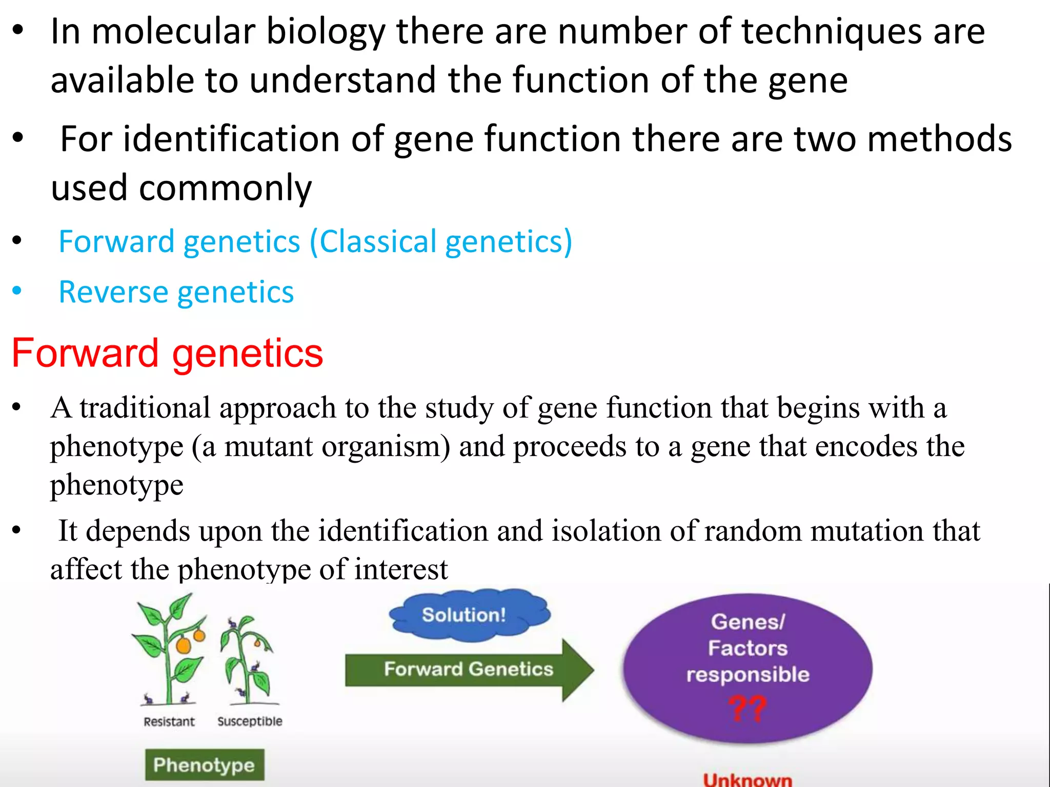 Genomics(functional genomics) | PPTX