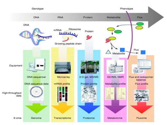 Genomics(functional genomics) | PPTX | Biotech and Biomedical Industry ...