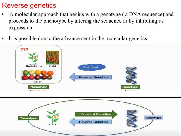Genomics(functional genomics) | PPTX | Biotech and Biomedical Industry ...
