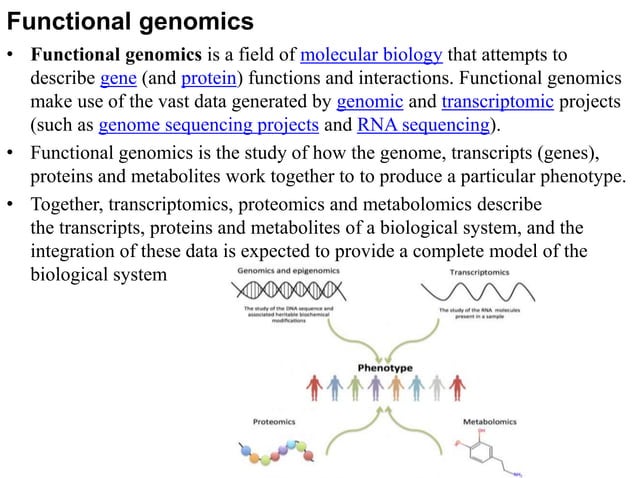 Genomics(functional genomics) | PPTX | Biotech and Biomedical Industry ...