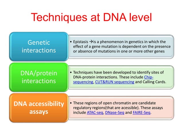 Genomics(functional genomics) | PPTX | Biotech and Biomedical Industry ...
