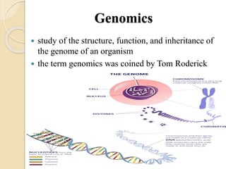 Genomics | PPT