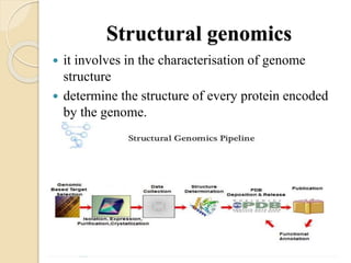 Genomics | PPTX | Genetics | Science