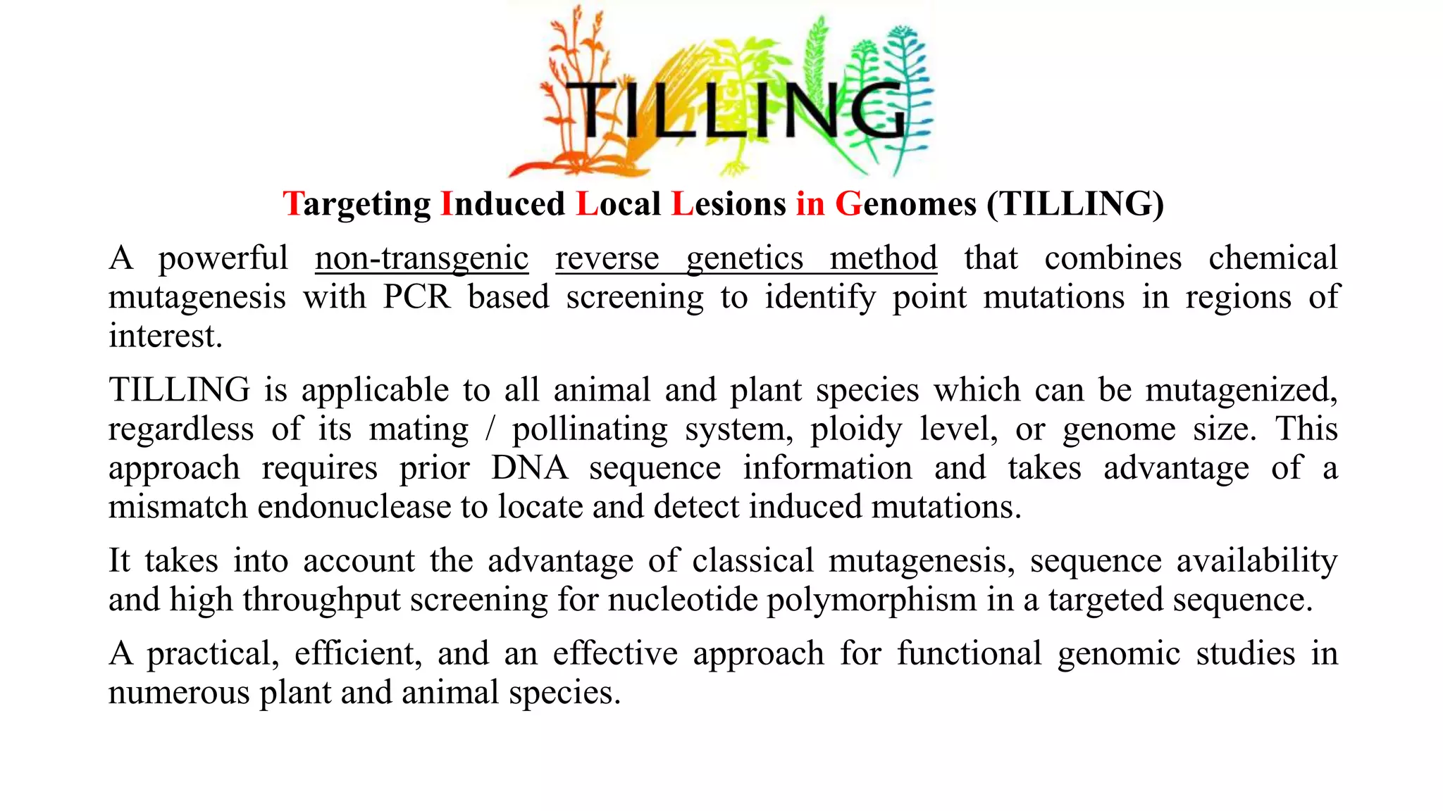 TILLING & ECOTILLING | PPTX