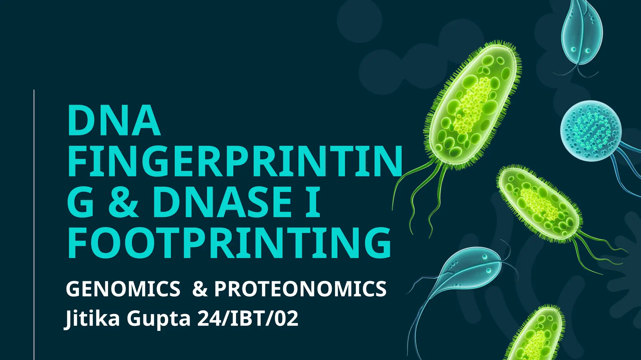 DNA FingerPrinting & DNase I Footprinting.pptx