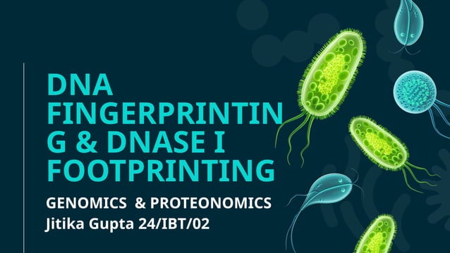 DNA FingerPrinting & DNase I Footprinting.pptx