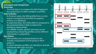DNA FingerPrinting & DNase I Footprinting.pptx