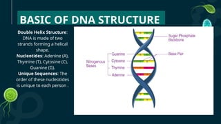 DNA FingerPrinting & DNase I Footprinting.pptx