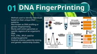 DNA FingerPrinting & DNase I Footprinting.pptx