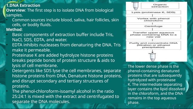 DNA FingerPrinting & DNase I Footprinting.pptx