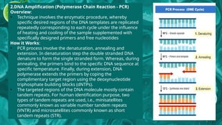 DNA FingerPrinting & DNase I Footprinting.pptx