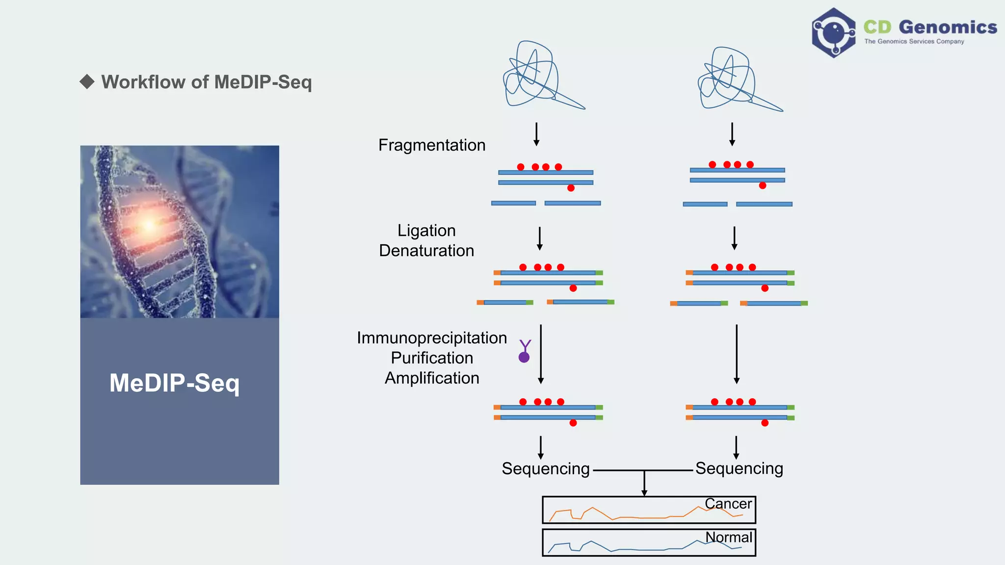 Genomics epigenetic modifications & epigenomic technologies | PPTX