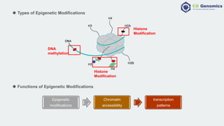 Genomics epigenetic modifications & epigenomic technologies | PPT
