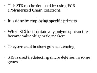 Mapping Techniques - Fluorescent in situ Hybridization(FISH) and ...