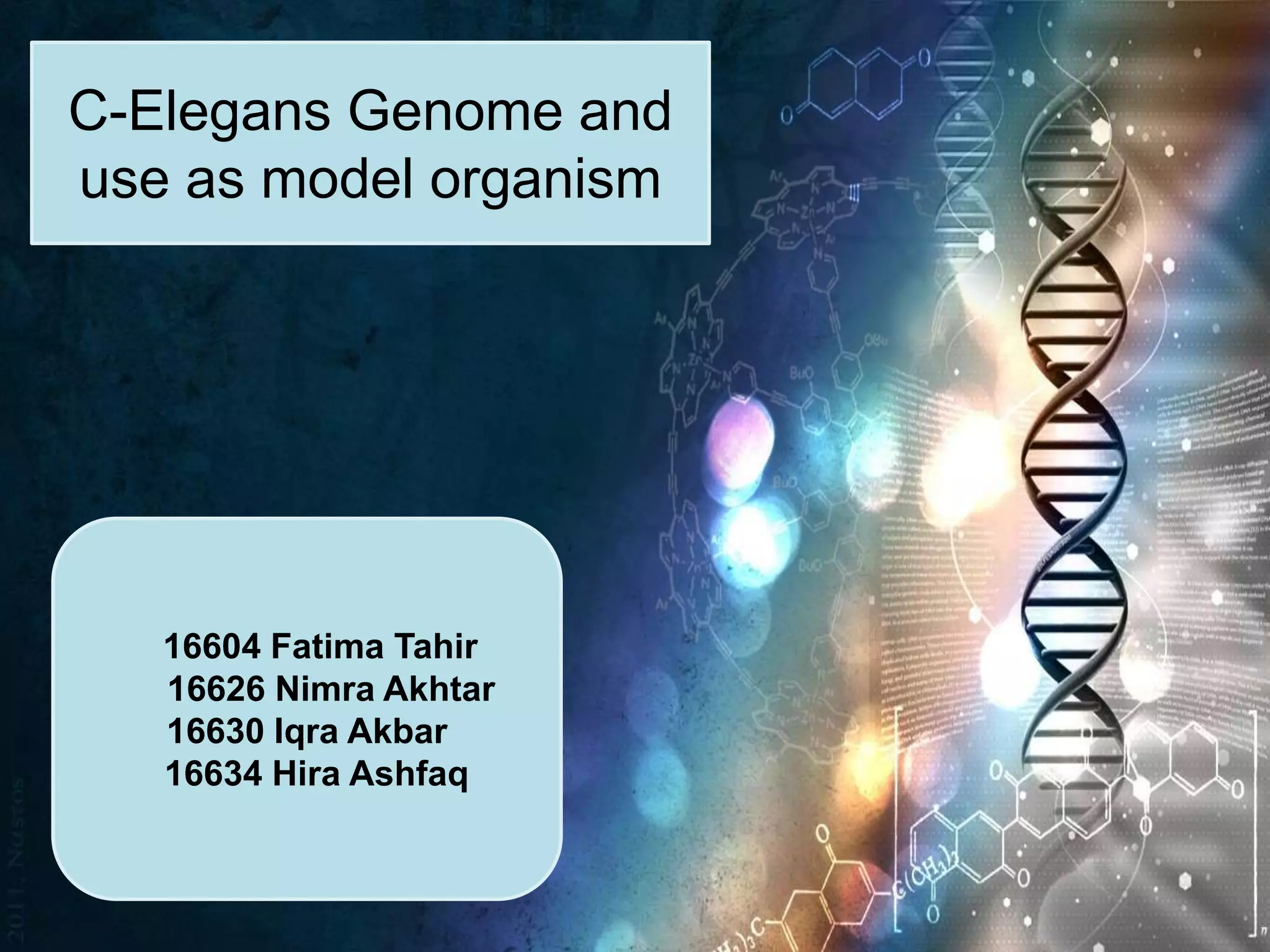 Genomics C elegan genome and model organism | PPTX