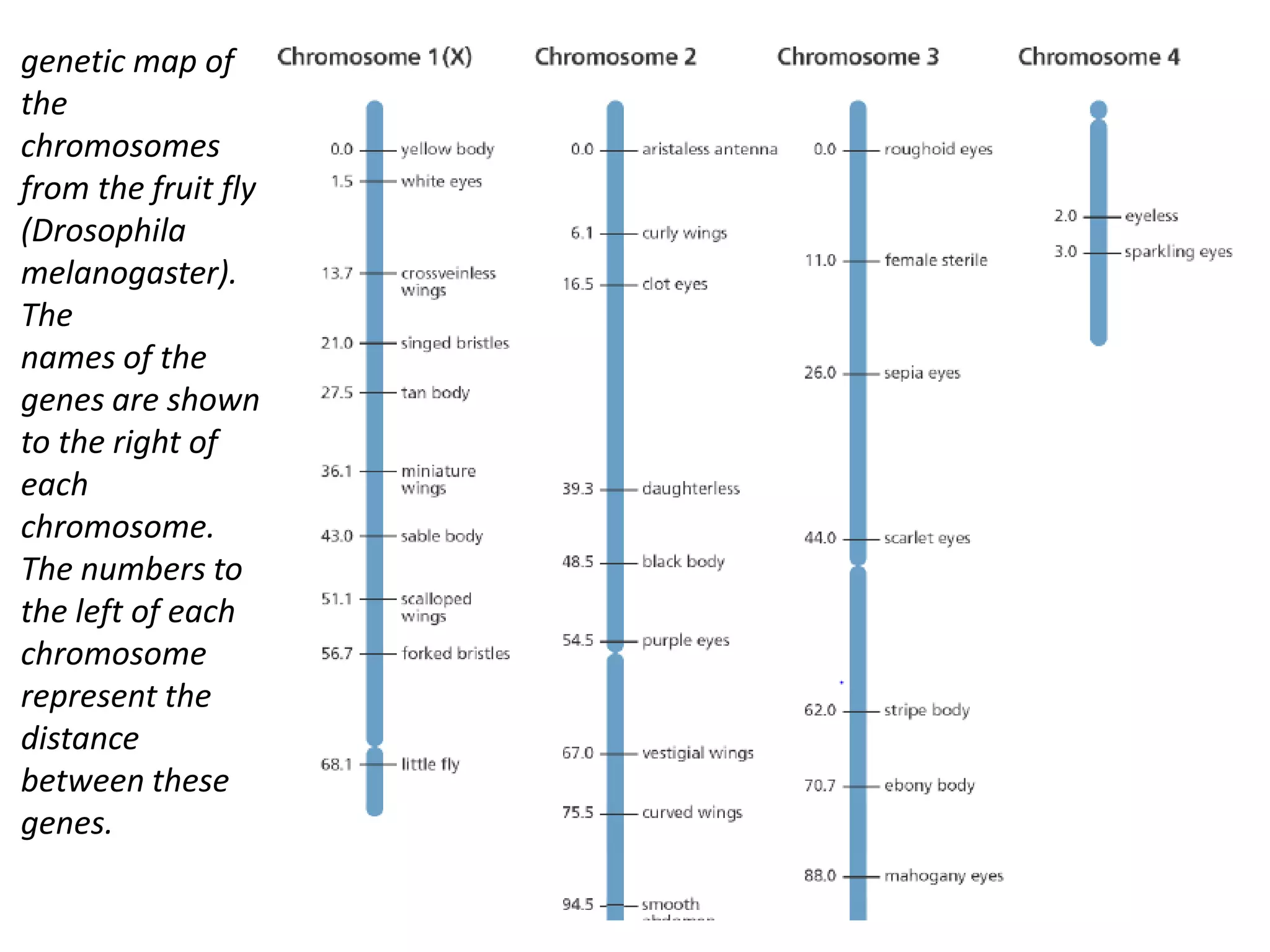 Genomics-Mapping and sequencing.pdf