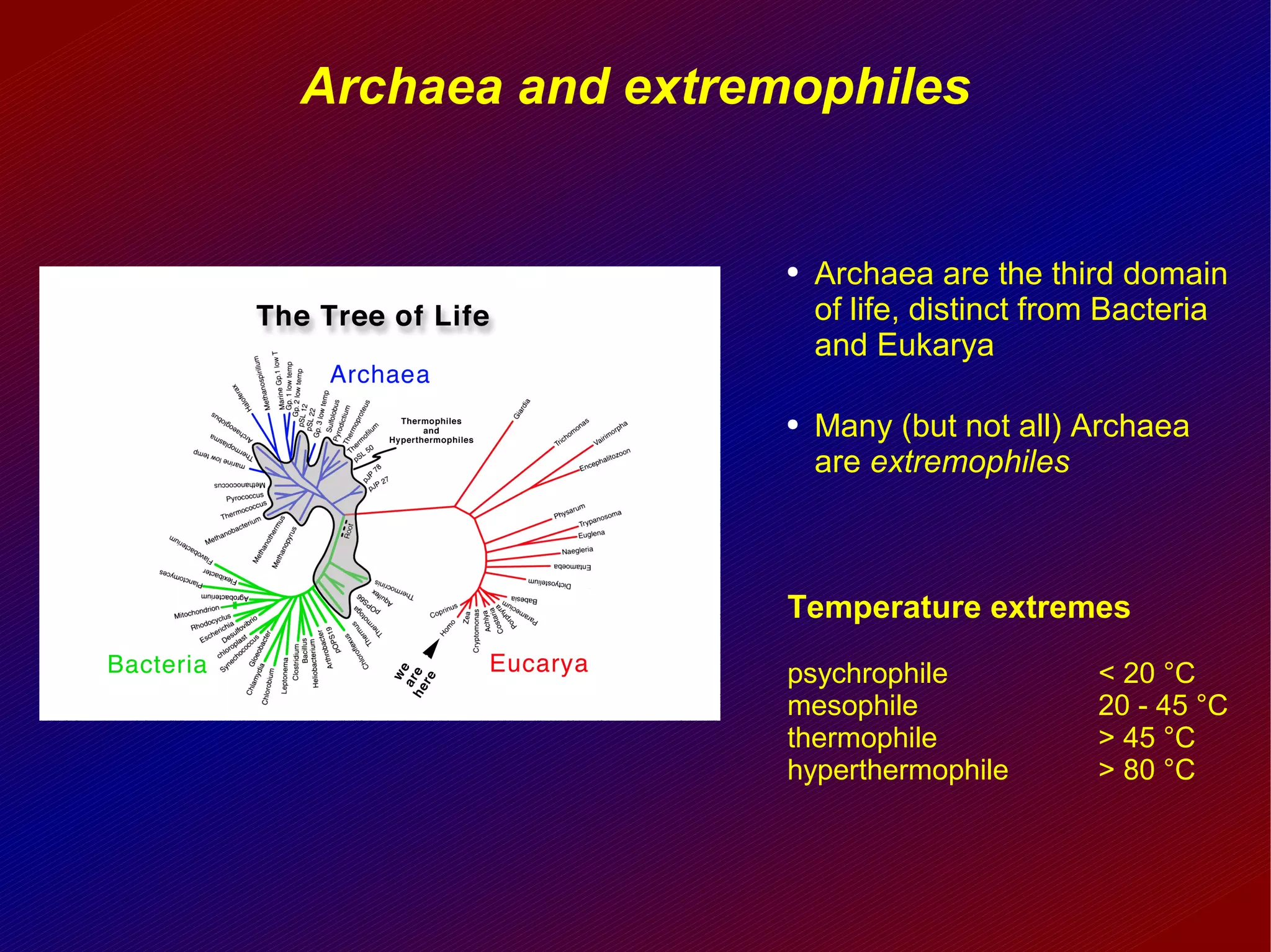Genomics of cold-adapted microorganisms | PDF