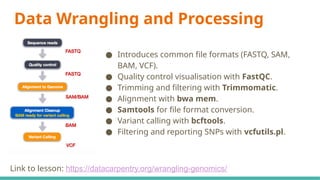 Genomics-onboarding-slides.pptx Gettinfg started with Genomics | PPT