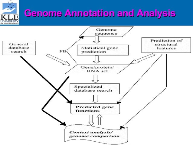 Genomics & Proteomics Based Drug Discovery | PPT | Biotech and ...