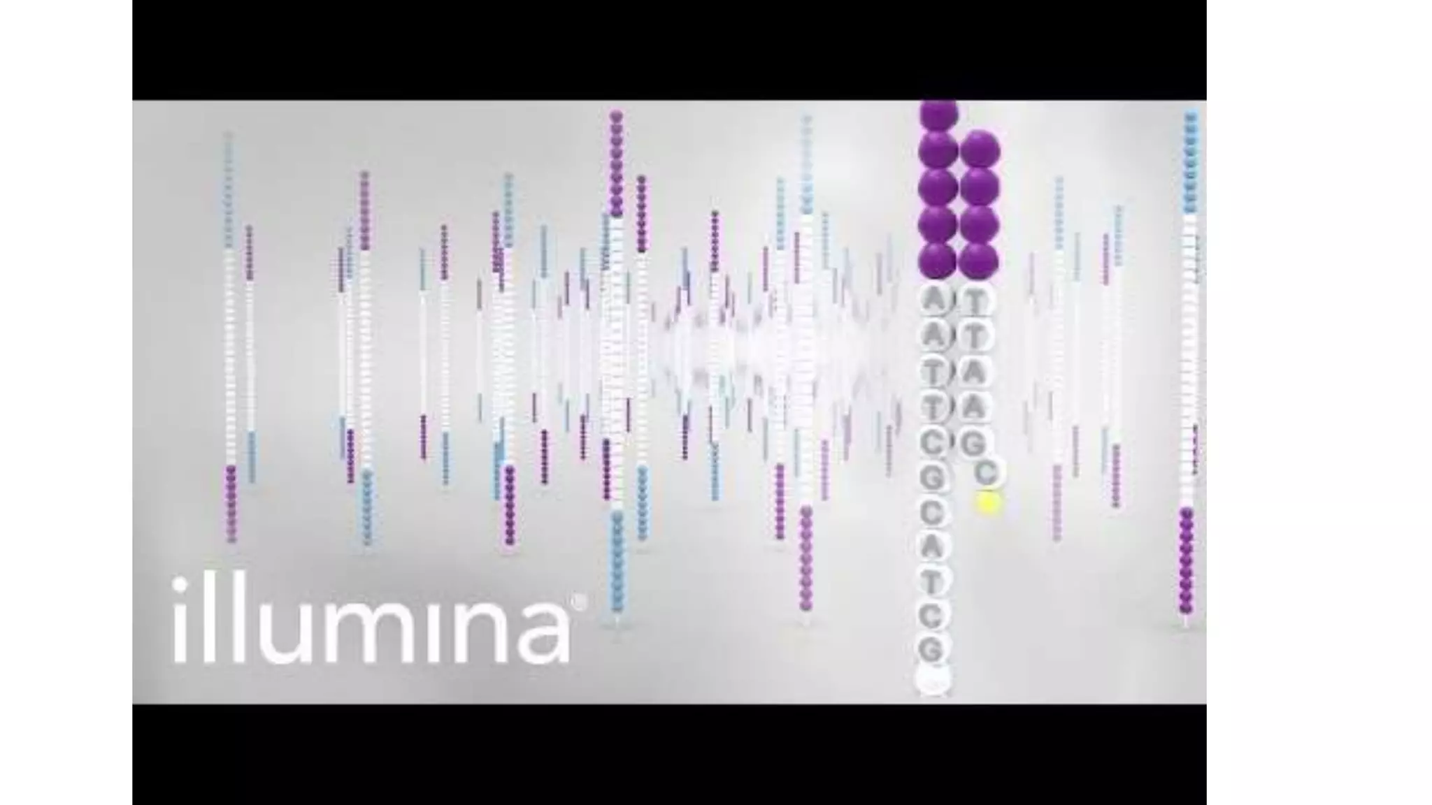Genetic diagnosis by whole exome capture and massively parallel DNA ...