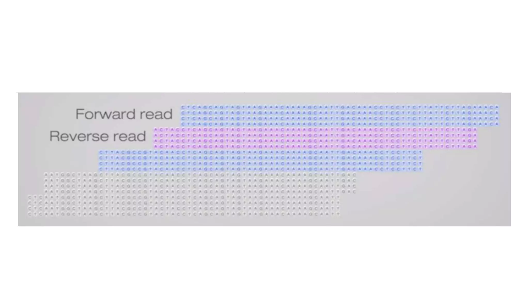 Genetic diagnosis by whole exome capture and massively parallel DNA ...