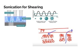 Genetic diagnosis by whole exome capture and massively parallel DNA sequencing | PPT